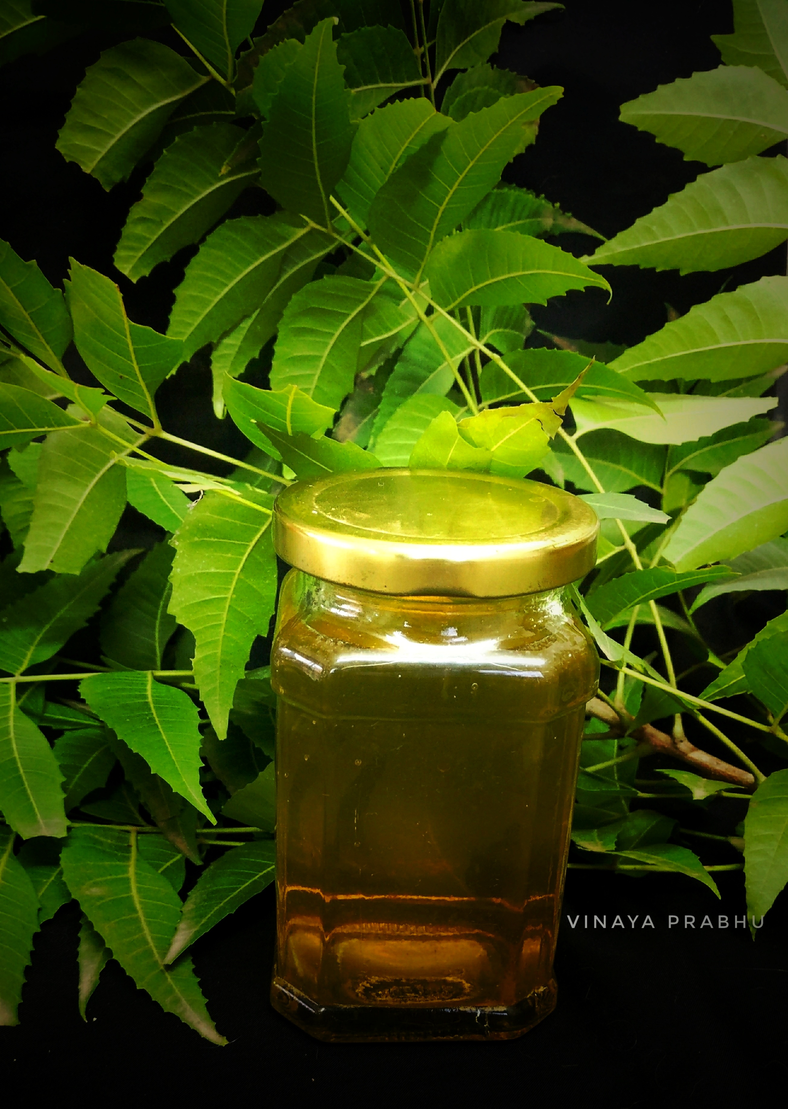 Preparation of Neem Oil – Vinaya's Culinary Delights